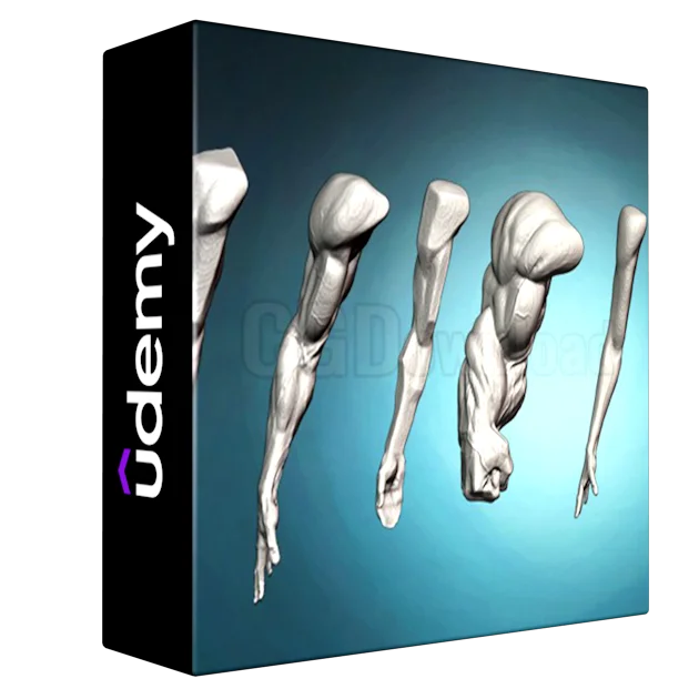 Arm and hand anatomy exercises course | CGDownload