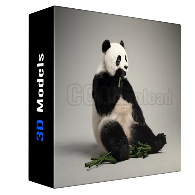 Vfx Grace - Panda Animation | CGDownload