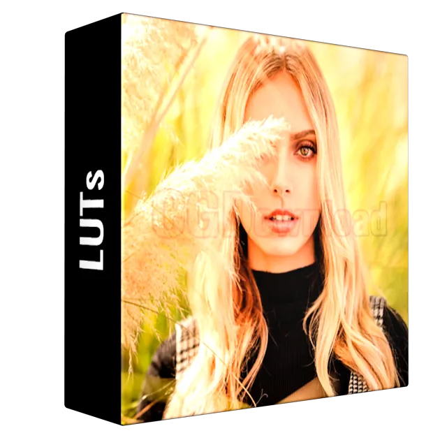 DVLOP - Visual Flow - Modern Pack | CGDownload