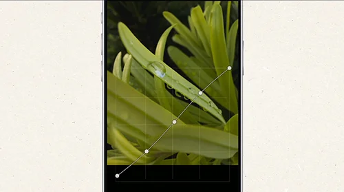 iPhone 17 Pro Camera Setup: 7 Settings That Make a Big Difference ...